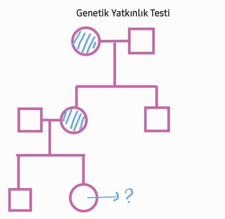 Hva Er Gentesting? - unurban.no
